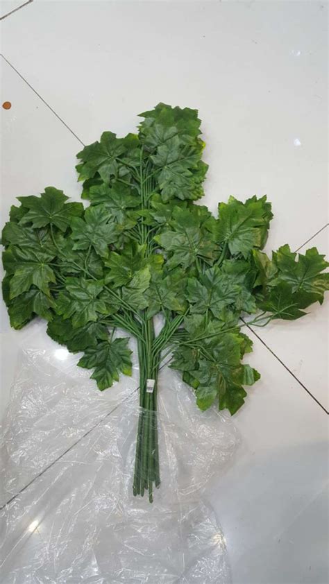 Promo Daun Maple Hijau Diskon 23 Di Seller Tb Pojok Sukses Blibli
