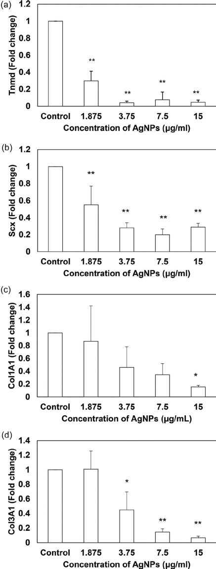 E Ff Ects Of AgNPs On The Expression Of Tendon Related Markers In