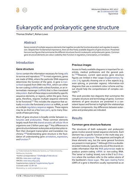 Solution Eukaryotic And Prokaryotic Gene Structure Studypool