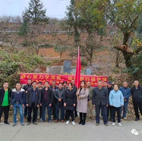 崇岭村党员志愿者服务队修缮散葬烈士墓李毓成活动教育