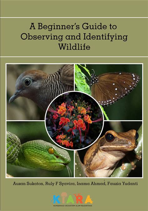 A Beginners Guide To Observing And Identifying Wildlife Kiara Indonesia