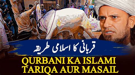 Qurbani Ka Islami Tariqa Aur Masail 2023 Apki Qurbani Zaya Bhi Ho