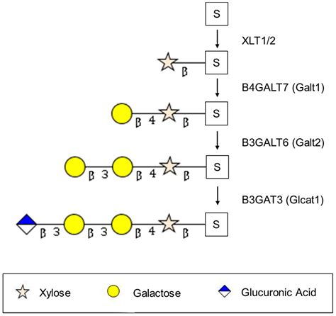 Ijms Free Full Text Epigenetic Regulation Of The Biosynthesis