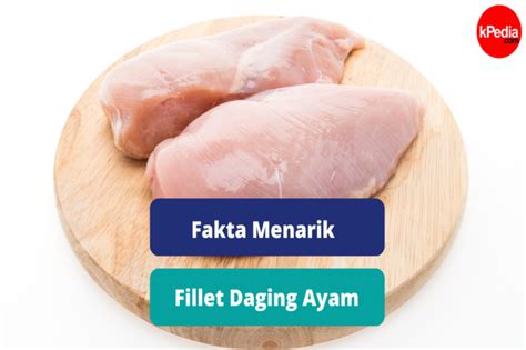 Fakta Menarik Fillet Daging Ayam Sebagai Pilihan Memasak Gaya Hidup
