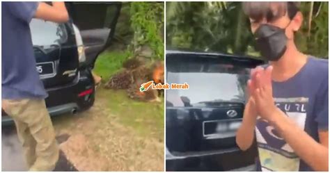 Senang Kerja Kau Dua Lelaki Kantoi Curi Sawit Guna Kereta Myvi