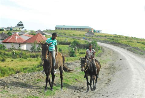 The Top Things To Do In South Africas Eastern Cape Province