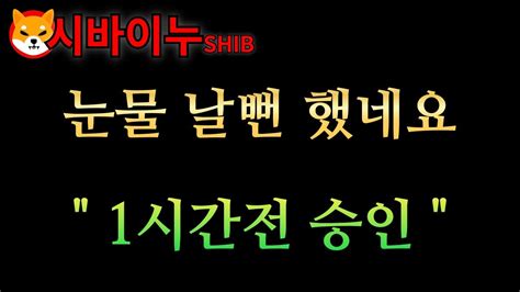 시바이누 코인 눈물날뻔 했습니다 1시간전 승인 Youtube