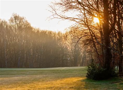 🏌️ Book And Save On A 2025 Golf Tour To Paultons Golf Club