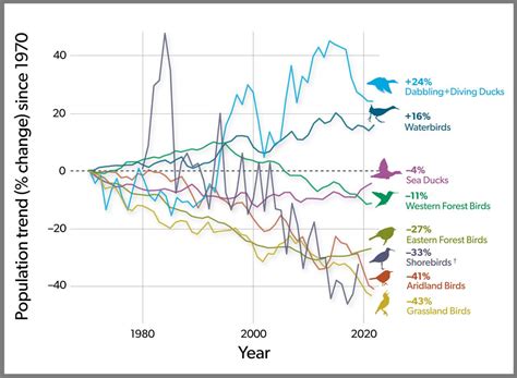 Executive Summary State Of The Birds 2025