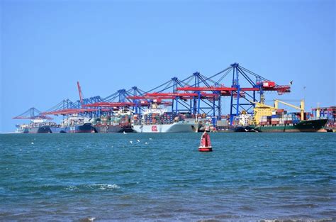 Suez Canal Container Terminals Upgrade Projects Improve Productivity