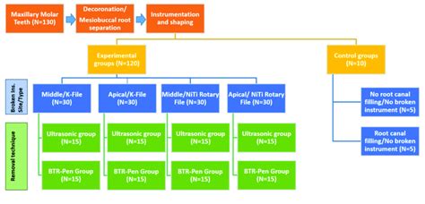 Scheme 1 Classification Of Groups Download Scientific Diagram