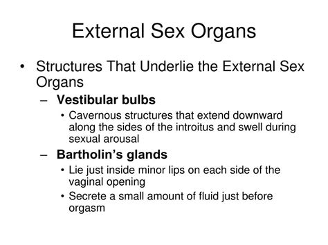 Ppt Female Anatomy And Physiology Powerpoint Presentation Free Download Id 5801440