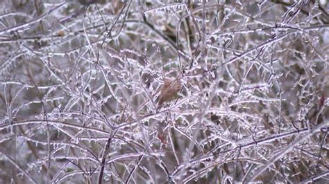 Ice Storm We Energies Power Outages Hit Racine Kenosha Counties Fox6