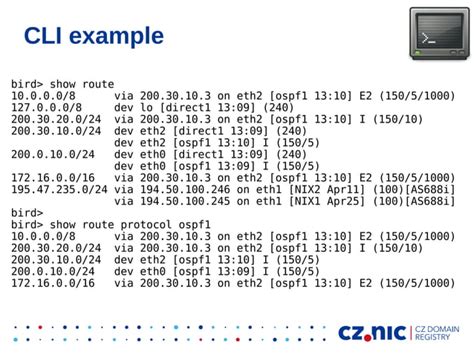 Bird Routing Daemon Ppt
