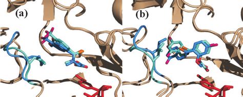 8 Superimposition Of The Crystal Structures Blue And The Modelled