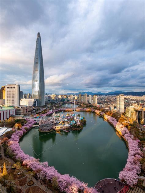 석촌호수 벚꽃 곧 터진다 롯데월드서 즐기는 벚꽃놀이