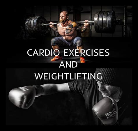 T Bar Rows Benefits Set Up And Muscles Worked In The Exercise