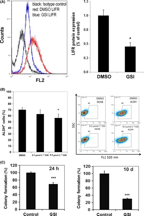 γ‐secretase Inhibitor Gsi Treatment Affects Lifr Protein Expression