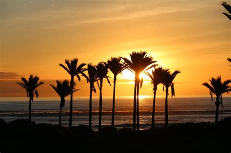 How Long Should I Spend On The West Coast Rainforest Retreat