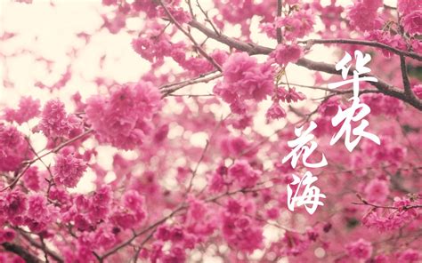 lucky甜美or辣妹3 bilibili B站 无水印视频解析YIUIOS易柚斯