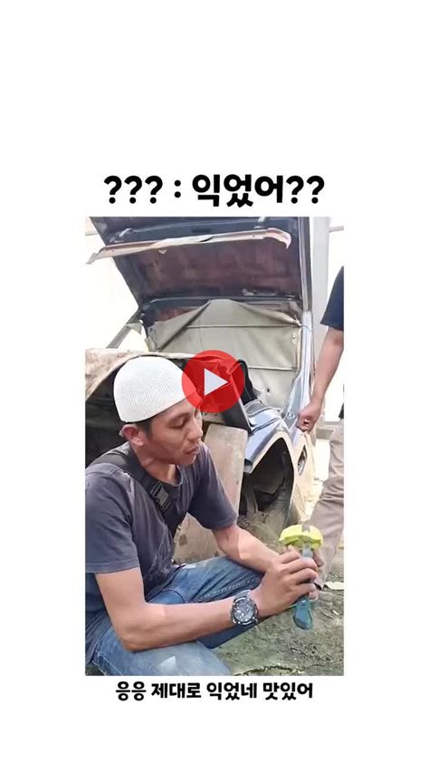 진정한 우정 유머 움짤 이슈 에펨코리아