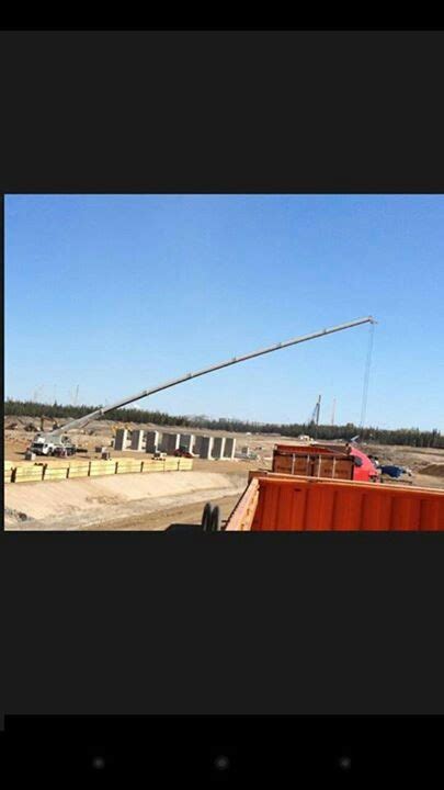 Best Images About Captivating Cranes On Pinterest Shopping Mall Toronto And For