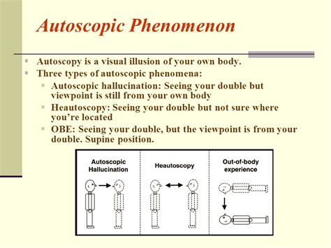 Exams And Me Autoscopy