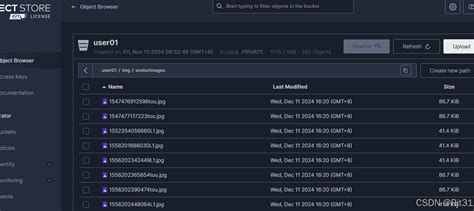 springboot整合minio实现文件上传功能 springboot minio 大文件上传 csdn博客