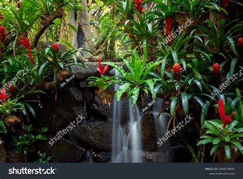 Greenworld 46 รายการ ภาพ ภาพสต็อกและเวกเตอร์ | Shutterstock