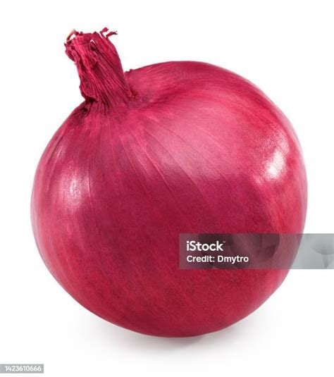 흰색 배경에 고립 된 붉은 양파 전체 필드 깊이 클리핑 경로 덩이줄기에 대한 스톡 사진 및 기타 이미지 덩이줄기 보라색