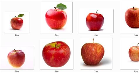 Research Solution Fruit Classifier Using Matlab