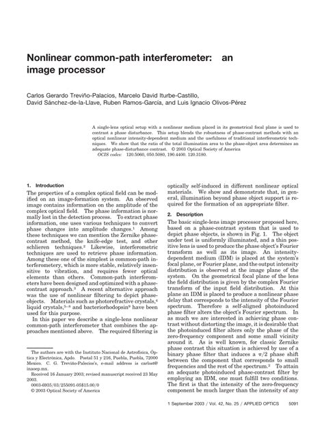 Pdf Nonlinear Common Path Interferometer An Image Processor
