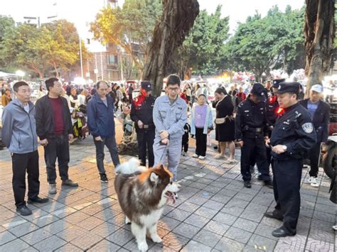 牵好“文明绳” 养犬“不掉链” 东坡区委区政府网
