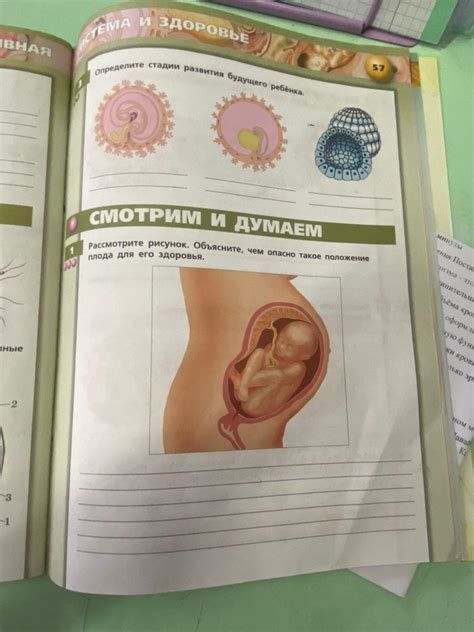 Помогите с биологией пожалуйста Школьные Знания Com