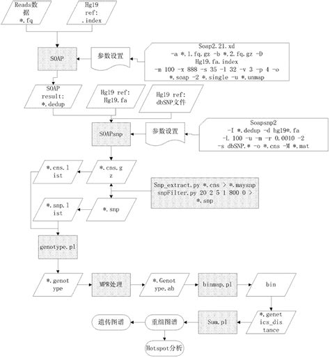 Genetic Map Construction Method And Device Haplotype Analytical Method