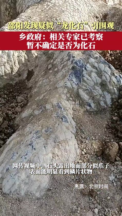 邵阳发现疑似“龙化石”引围观 乡政府：相关专家已考察 暂不确定是否为化石 度小视