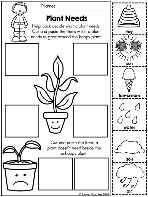 Where Plants Grow Worksheet For Kindergarten