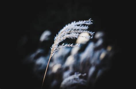 L Y D I A December Naturephotography Travelgram Beauty Peace