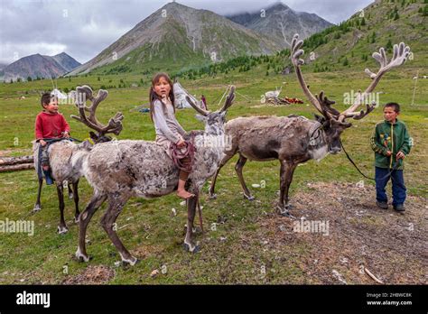 Turkic Community Of Semi Nomadic Reindeer Herders Living In The