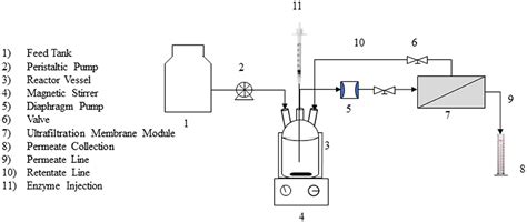 Frontiers Detoxification And Decolorization Of Complex Textile Effluent In An Enzyme Membrane