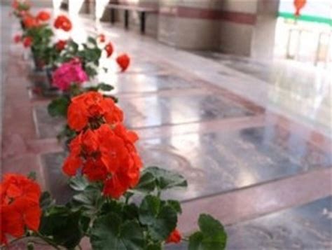 گلباران و عطر افشانی مزار مطهر شهدای هفتم تیر در قم ایسنا