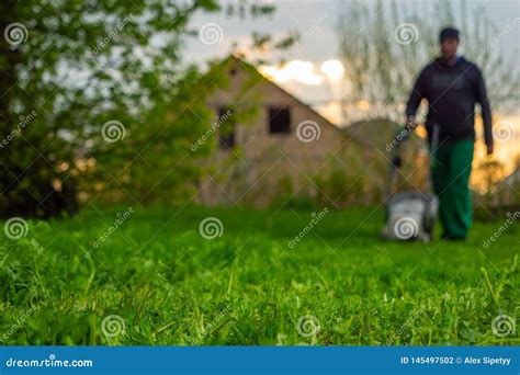 Un Hombre Siega El C Sped Con Un Cortac Sped En La Madrugada En El