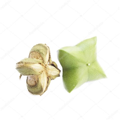 Sacha Inchi Cacahuete Semillas De La C Psula Fruto De Sacha Inchi