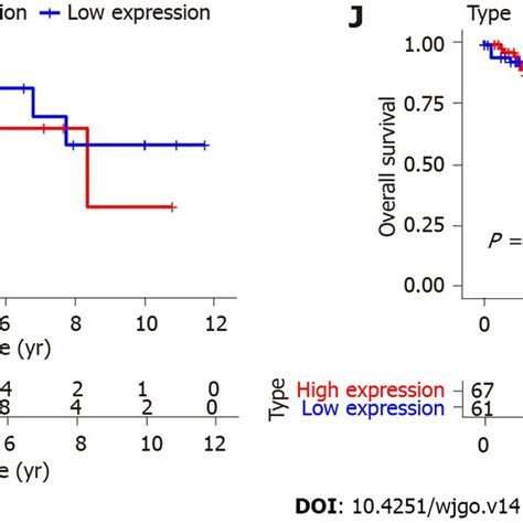 Synaptophysin Like 2 Expression Levels And Survival Analyses In Download Scientific Diagram