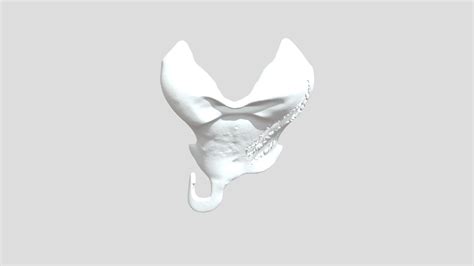 Shattered Reflection Download Free 3d Model By Kirrakaye [013660f