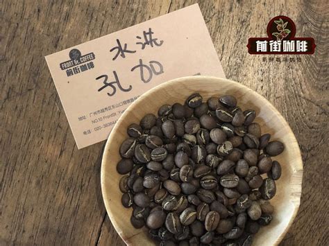 埃塞俄比亚耶加雪菲咖啡豆产区介绍，孔加合作社咖啡豆风味特点评价。 中国咖啡网
