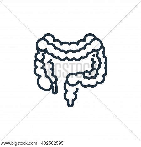 Intestine Icon Vector Photo Free Trial Bigstock