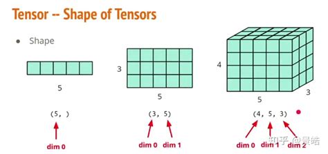 PyTorch Tutorial 李宏毅 春机器学习笔记 知乎