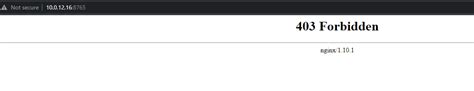 Issue 403 Forbidden 13 Permission Denied Nginx General