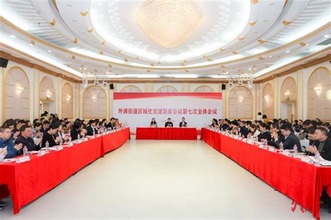 发布年度重点项目 外滩街道区域化党建联席会议第七次全体会议召开